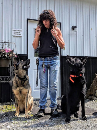 Home - Canine Case Squad | Canine Behaviorists & Trainers | NY Dog ...